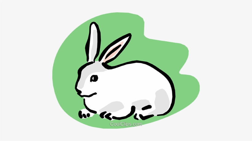 Pet Rabbit Royalty Free Vector Clip Art Illustration - Rabbit From Of ...