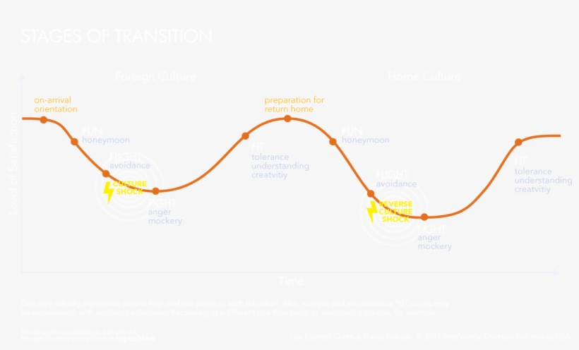 Download Stages Of Transition - Diagram | Transparent PNG Download ...