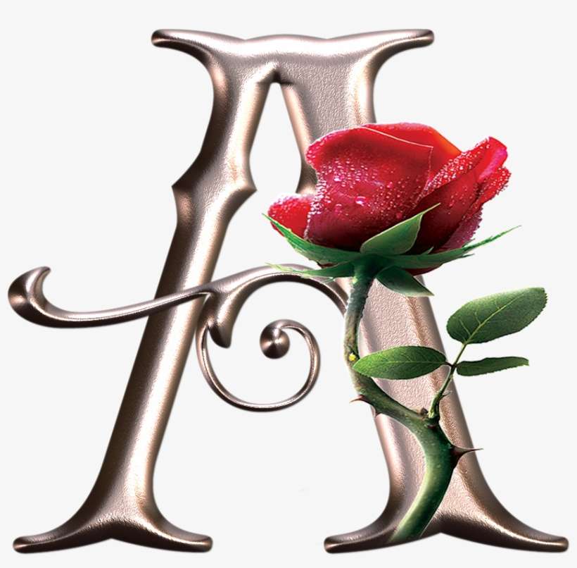 Alfabeto Decorativo Rosa Vermelha - Iniciales Con Rosas PNG Image ...