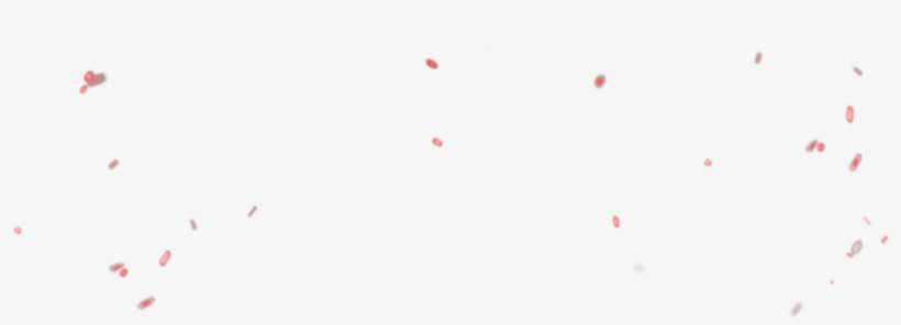 Admin - Circle PNG Image | Transparent PNG Free Download on SeekPNG