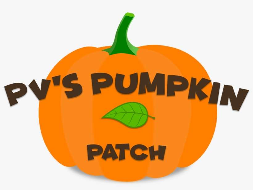 Html5 Icon - Icon PNG Image | Transparent PNG Free Download on SeekPNG