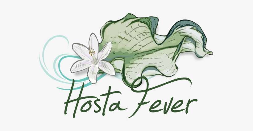 Hosta Png PNG Images | PNG Cliparts Free Download on SeekPNG