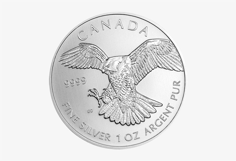 2014 Canadian Silver Peregrine Falcon - Silver PNG Image | Transparent ...