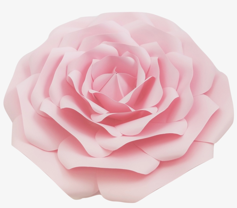 Download [paper Flower] [paper Flower Sets] [decor In The Box ...