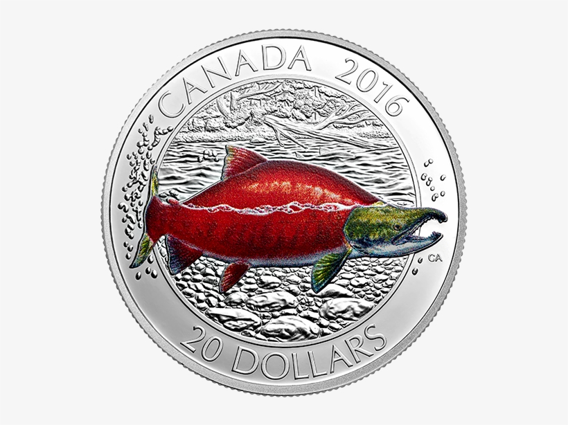 Pure Silver Coloured Coin Big Fish Series - Coin Canada 2016 Canadian ...