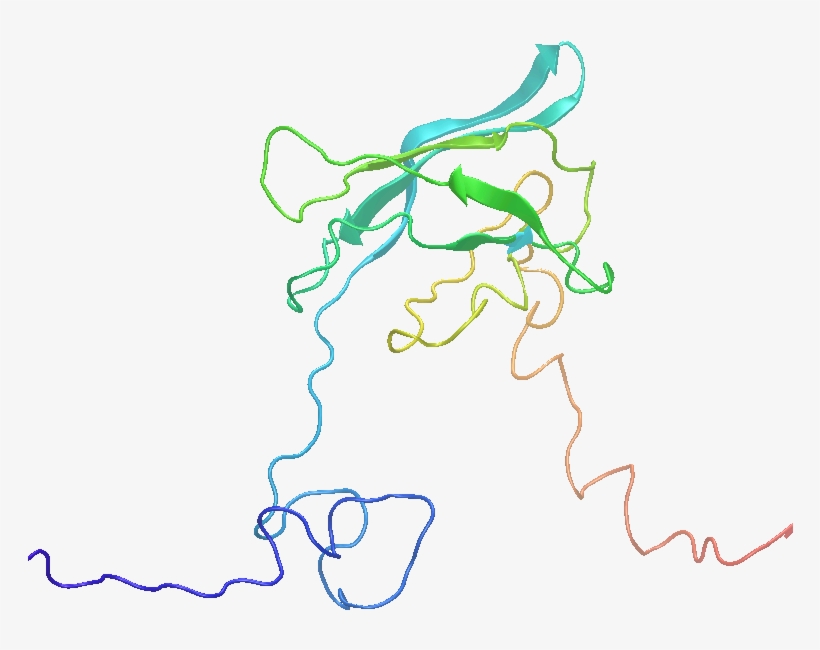 Monoclonal Antibodies 3d Structure Peptide Mapping - Monoclonal ...