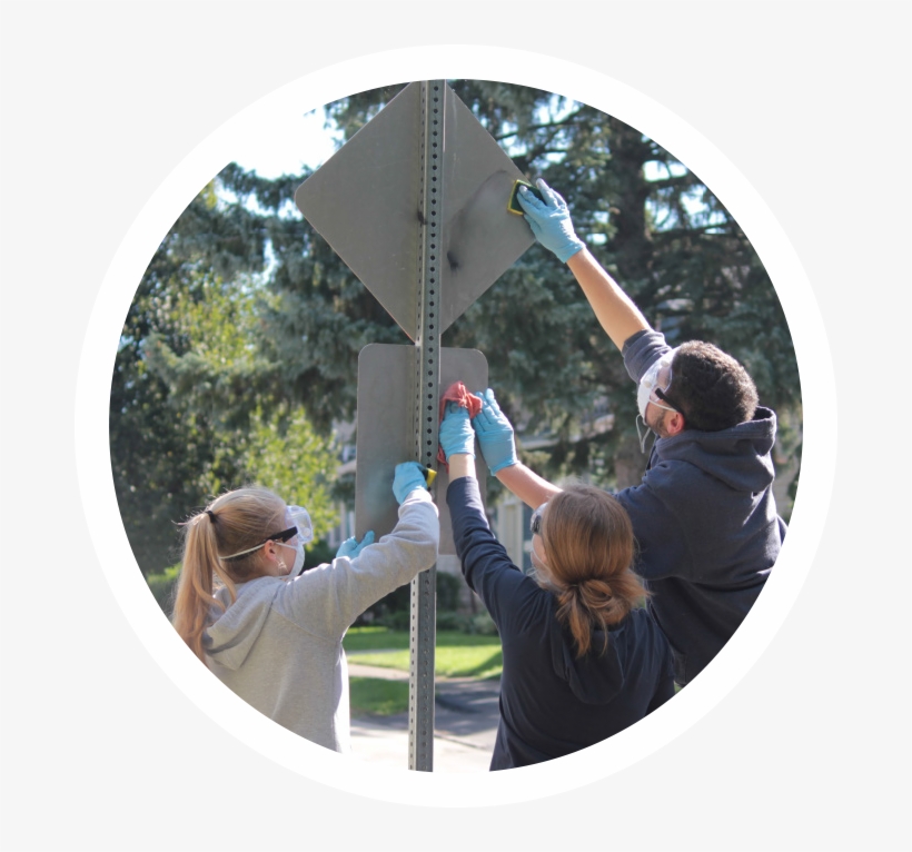 Null - Tree PNG Image | Transparent PNG Free Download on SeekPNG