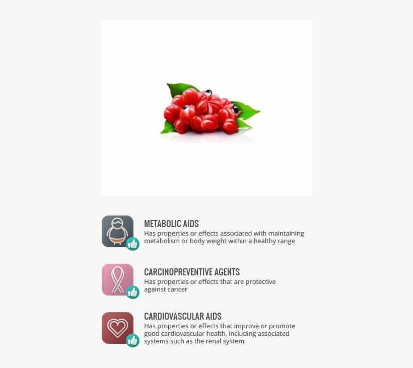 Antioxidants - Guarana Berries PNG Image | Transparent PNG Free ...
