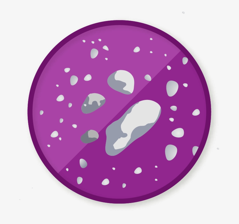 Win A Badge - Circle PNG Image | Transparent PNG Free Download on SeekPNG