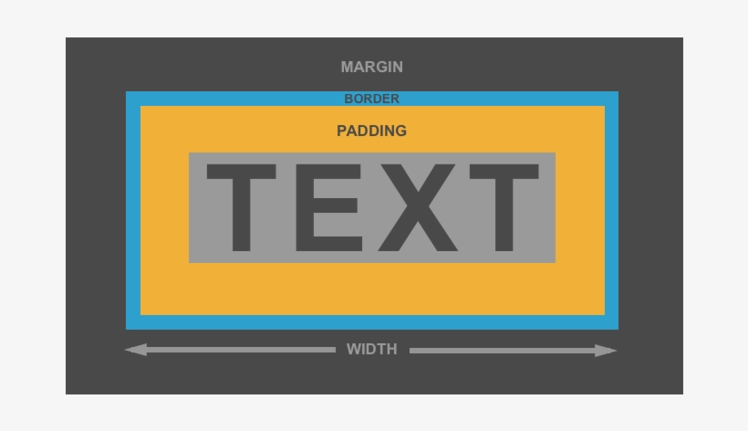 Divi Determines Box Sizing With The Border-box Css - Length PNG Image ...