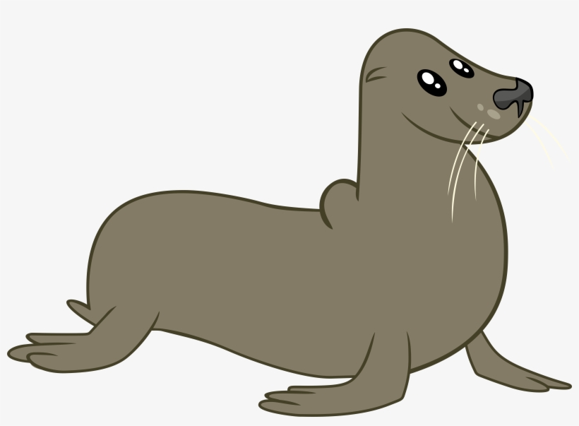 Seal Cartoon Png PNG Image | Transparent PNG Free Download on SeekPNG
