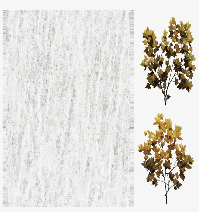 Http - //forum - Mymmo - Cz/diffuse - Mossy Cup Oak PNG Image ...