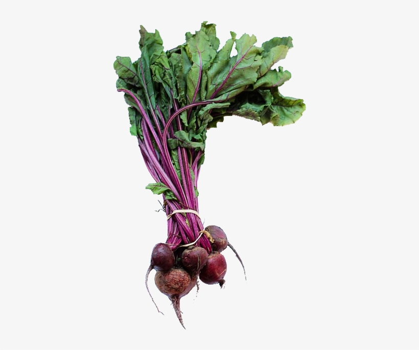2 Bunches Beets - Common Beet PNG Image | Transparent PNG Free Download ...