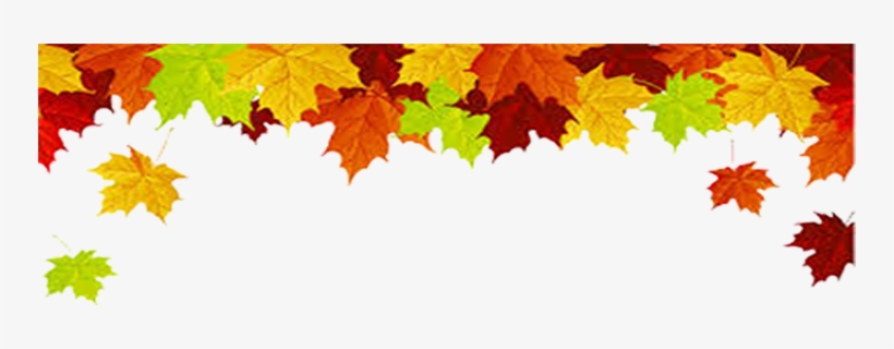 Jump Into Fall With A Stunning Proven Pair Of Discus - Fall Leaves Top ...