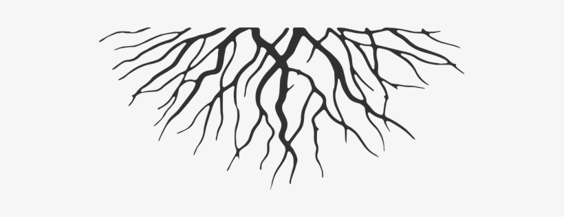 Taking Root - Roots Png PNG Image | Transparent PNG Free Download on ...