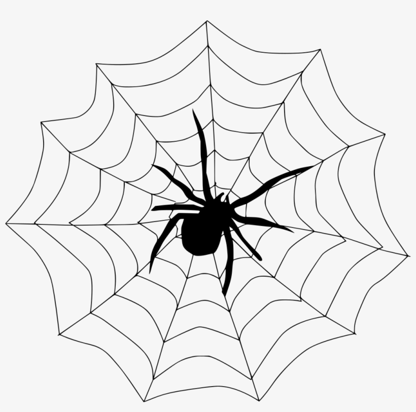 Download Png - Spider On A Spider Web PNG Image | Transparent PNG Free ...