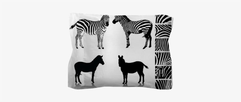 Zebra, Silhouette, Shadow And Texture-vector Illustration - Ombre Zèbre ...