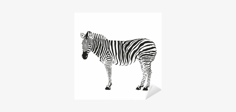 Zebra Silhouette PNG Image | Transparent PNG Free Download on SeekPNG