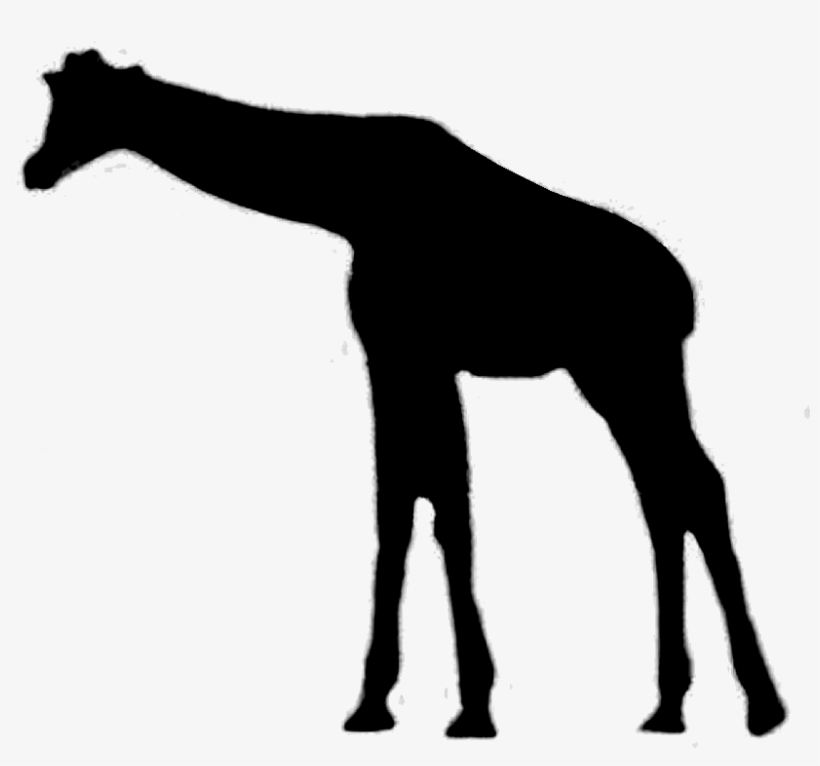 Source - - Silhouette PNG Image | Transparent PNG Free Download on SeekPNG