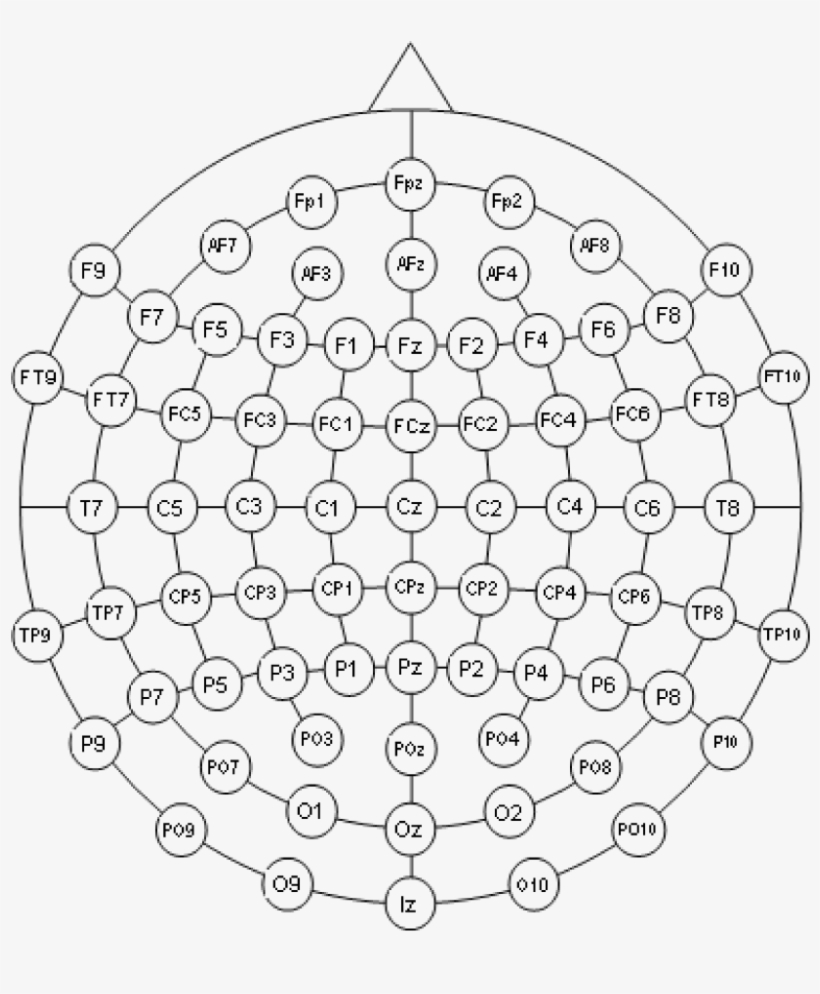 Layout - 64 Channel Eeg Cap PNG Image | Transparent PNG Free Download ...
