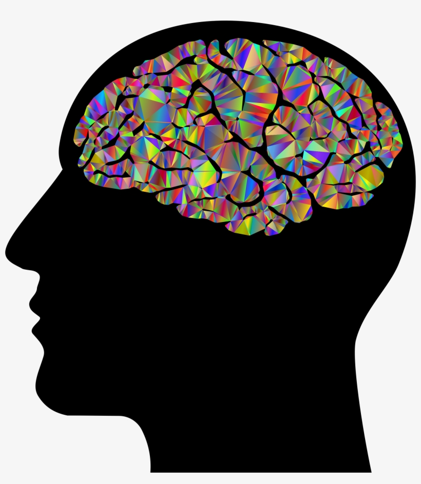 Big Image - Brain PNG Image | Transparent PNG Free Download on SeekPNG