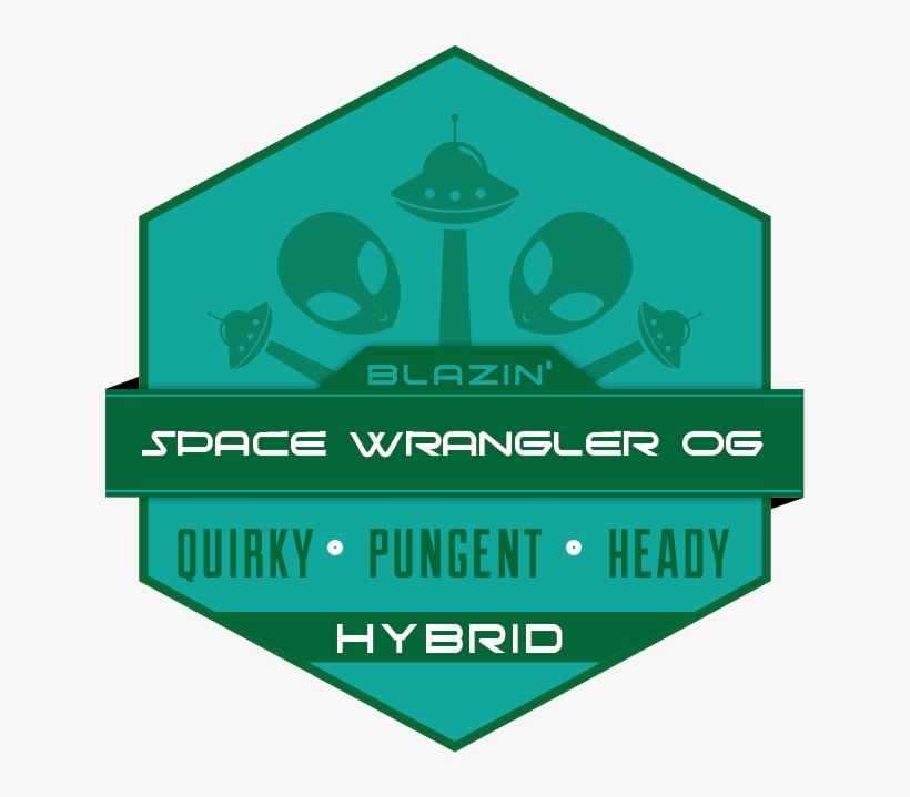 Blazin' Space Wrangler Og Gallery - Logo PNG Image | Transparent PNG ...