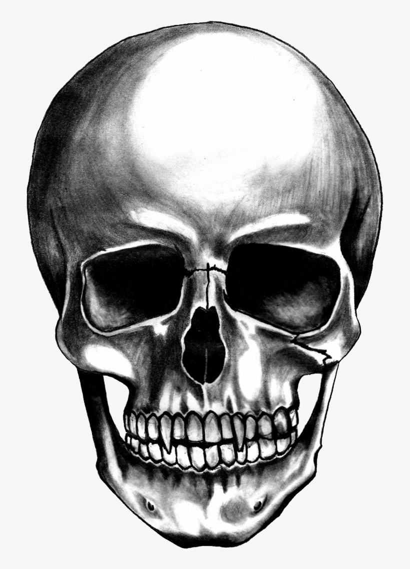 Download Skull Free Png Download - Skull With Transparent Background ...