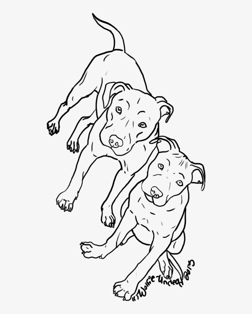 Download Free Pit Bull Line Art 17 By Wolfie Undead-d6tvuhc - Free ...