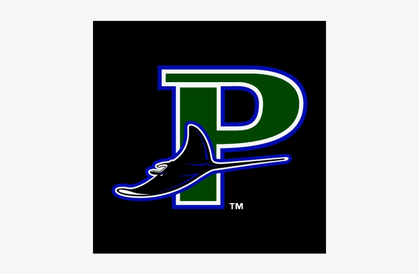 Premium Vectors - Princeton Rays PNG Image | Transparent PNG Free ...