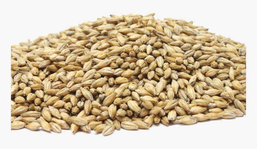 Perfect For Ipas, Pales, And Bitters - Farat E Susamit PNG Image ...