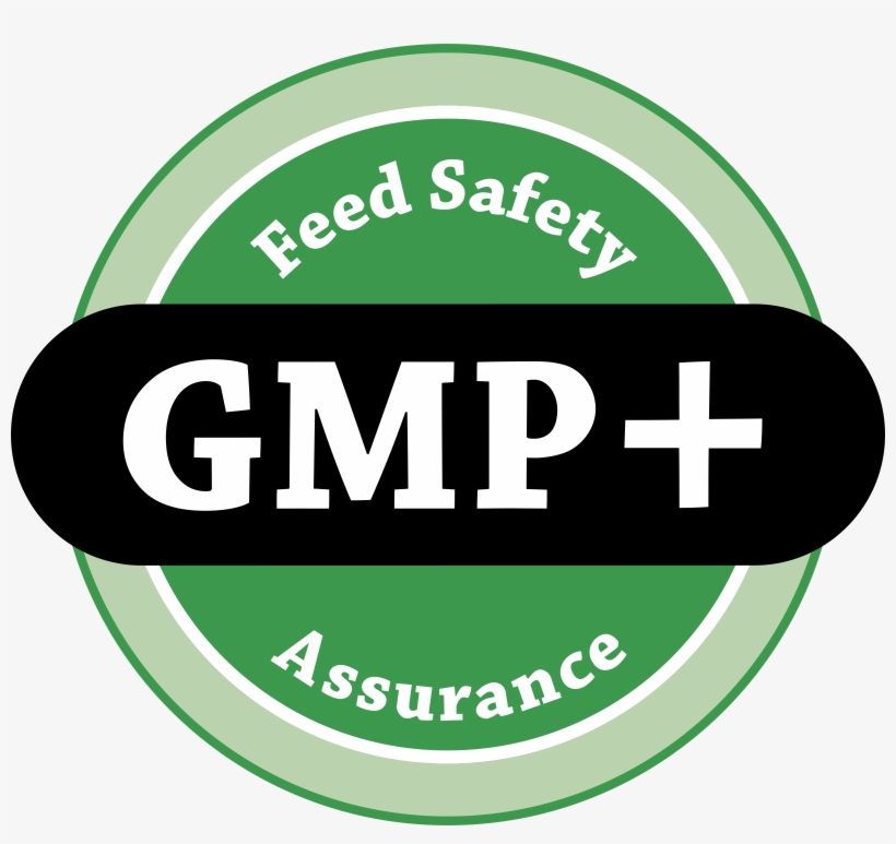 Gmp Logo Png Transparent - Gmp Plus Logo PNG Image | Transparent PNG ...