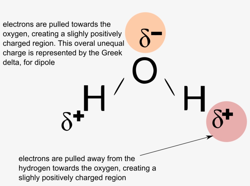 Dipolarity Of Water - Water Dipole PNG Image | Transparent PNG Free ...