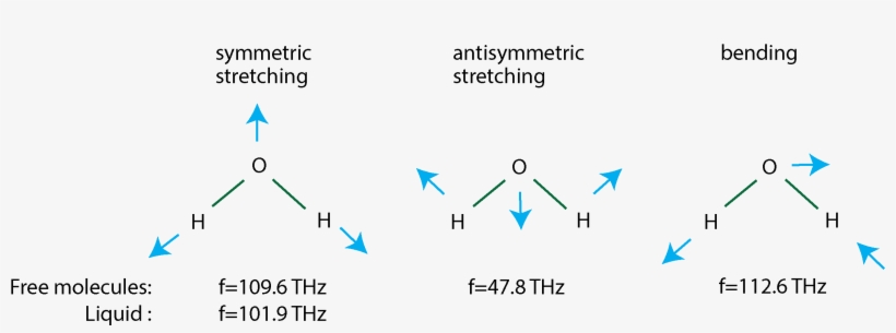 Vibrational Modes Of A Water Molecule - 3 Vibrational Modes Of Water ...