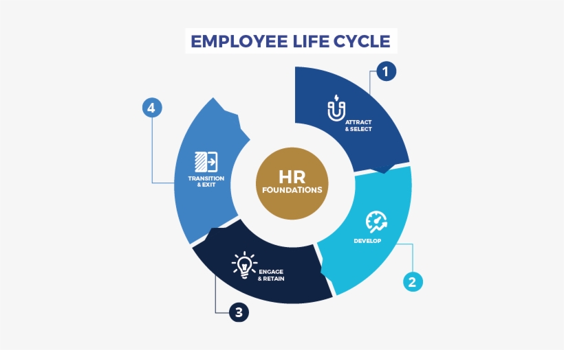 Employee Life Cycle - Market PNG Image | Transparent PNG Free Download ...