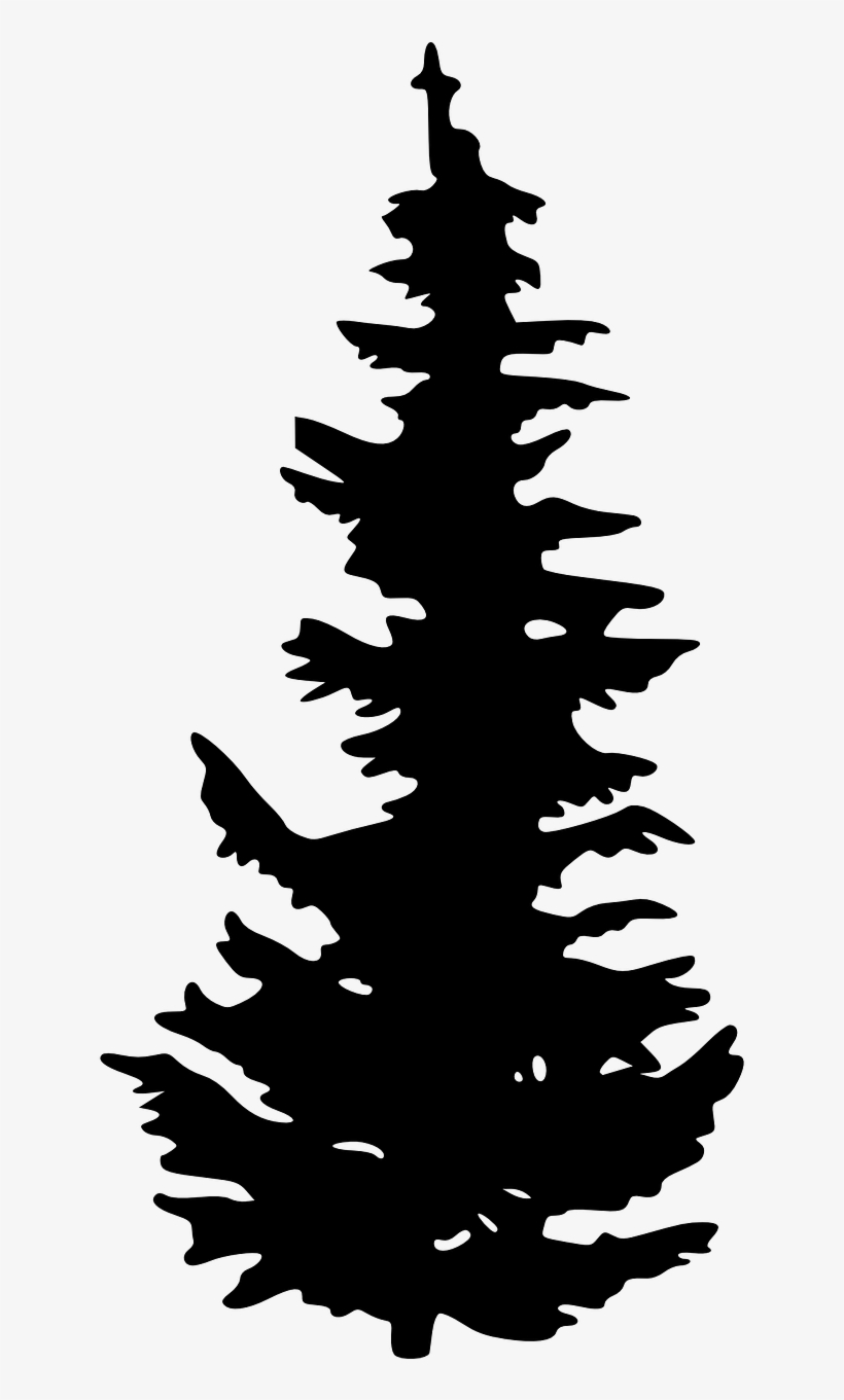 How To Draw A Tree Free Printable Tree Stencils 16 - Pubg Mobile ...