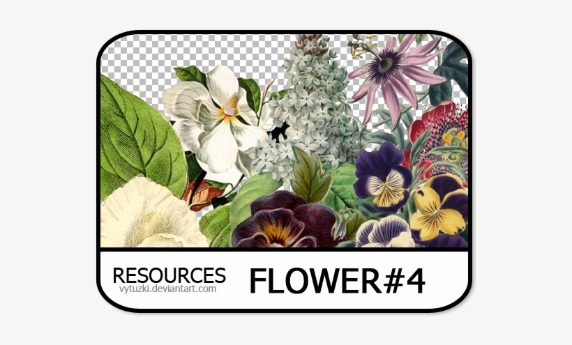Png Pack - Flower Png Pack Deviantart PNG Image | Transparent PNG Free ...
