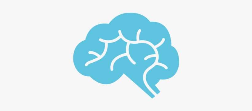 Brain - Illustration PNG Image | Transparent PNG Free Download on SeekPNG