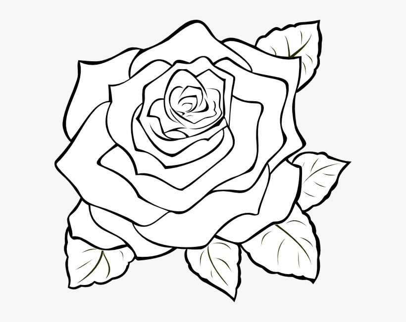 Download Png Rose Outline Transparent Rose Outline - Roses To Colour In ...