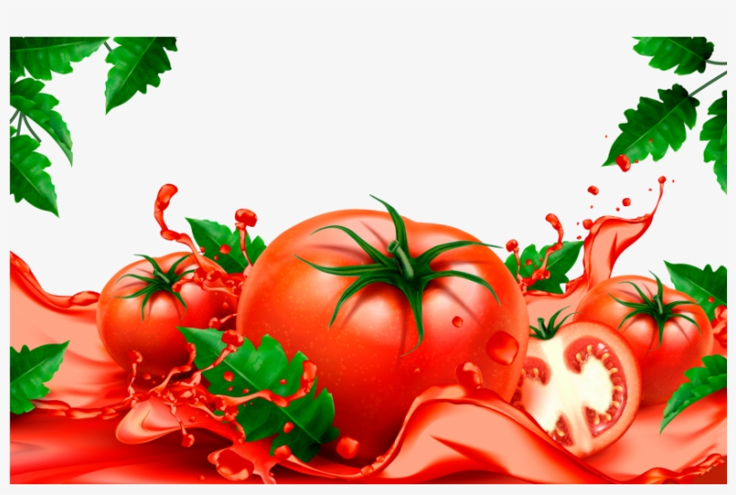 Tomato - Tomato Background Design PNG Image | Transparent PNG Free ...