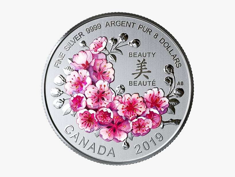 Silver Coin PNG Image | Transparent PNG Free Download on SeekPNG