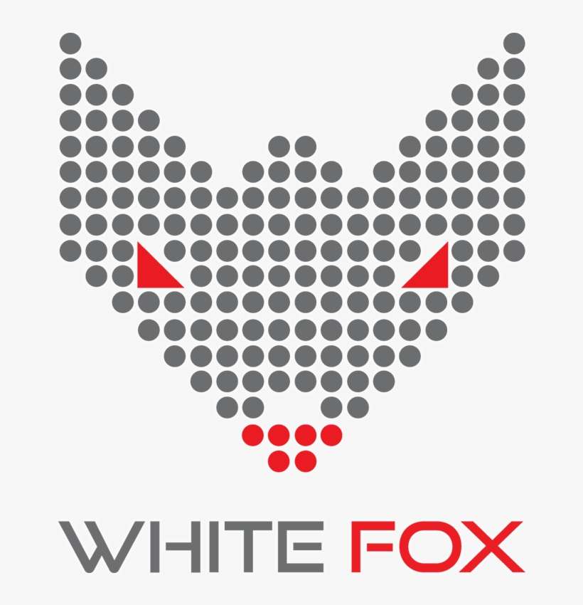 Arjun Jain White Fox PNG Image | Transparent PNG Free Download on SeekPNG