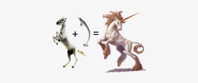 Download Unicorn Creation - Dnd Unicorn | Transparent PNG Download ...