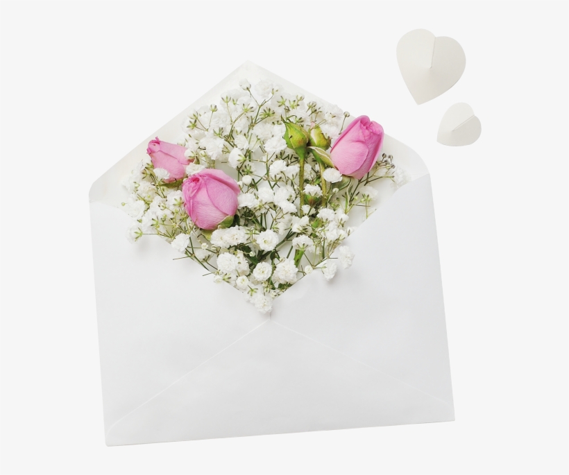 Envelope White Flower - Artificial Flower PNG Image | Transparent PNG ...