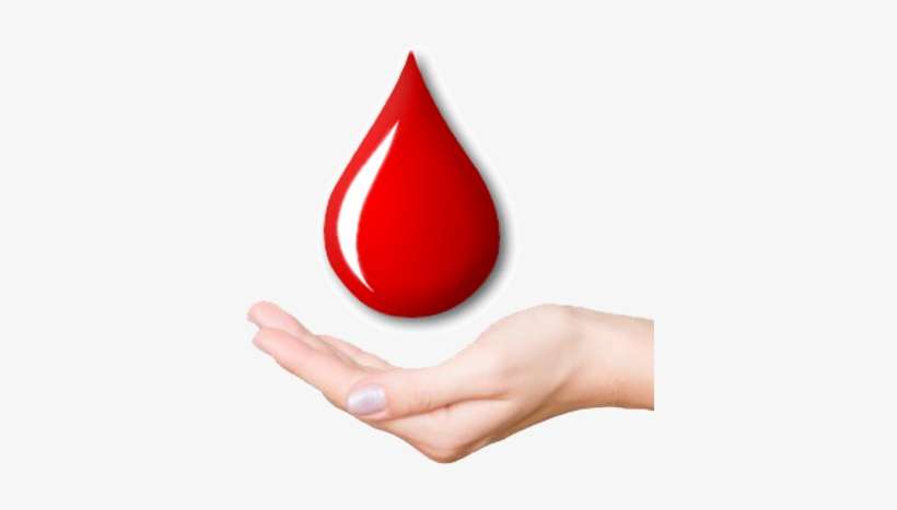 Download Iblood Kathmandu - Hand Blood Drops Png | Transparent PNG ...