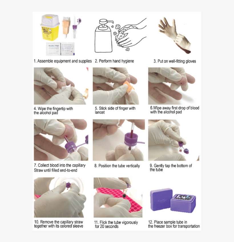 Illustration For Capillary Blood Sampling - Lilac PNG Image ...