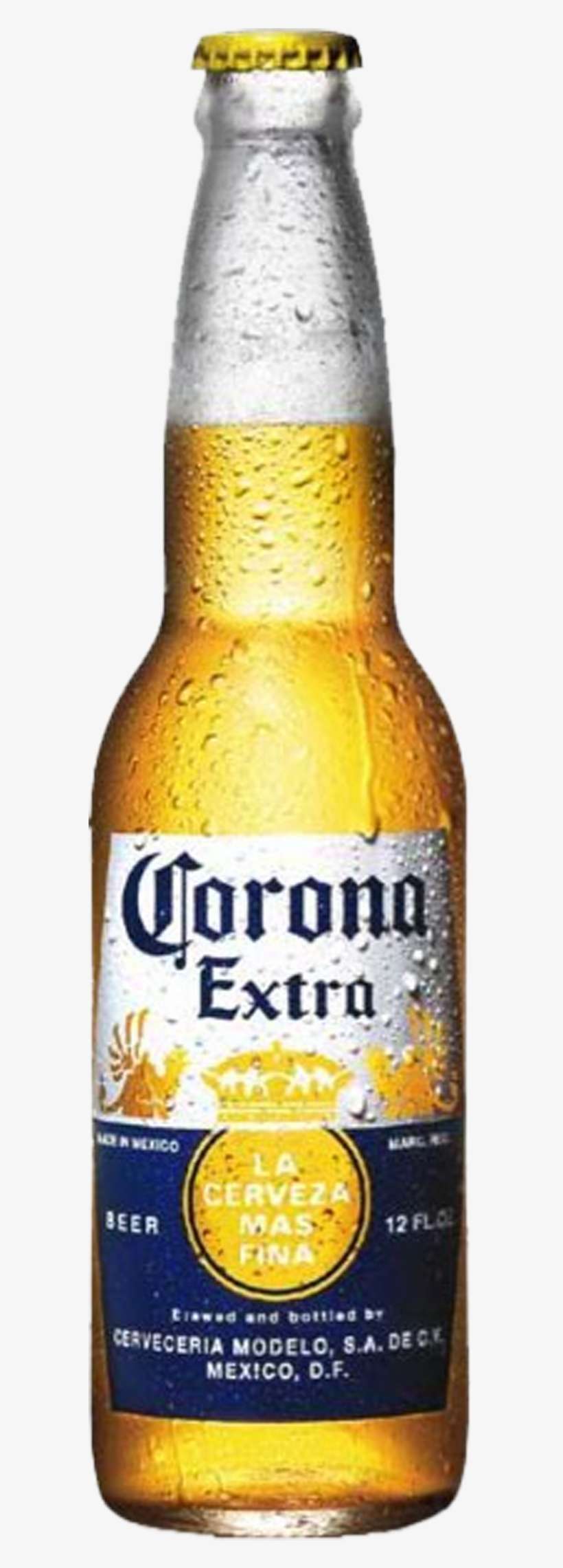 Corona Extra PNG Image | Transparent PNG Free Download on SeekPNG