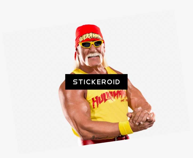 Hulk Hogan Wwe - Hulk Hogan PNG Image | Transparent PNG Free Download ...