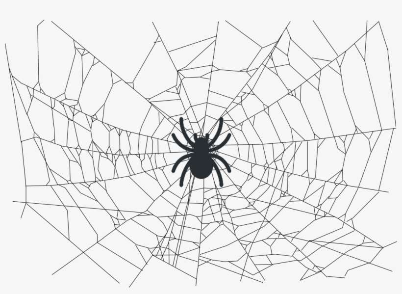 Crawleando A Web Com O Scrapy - Realistic Spider Web Drawing PNG Image ...