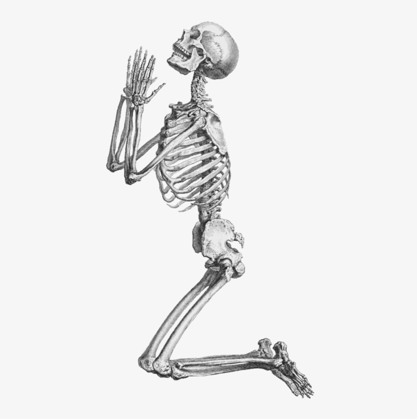 Free Icons Png - Praying Skeleton Png PNG Image | Transparent PNG Free ...