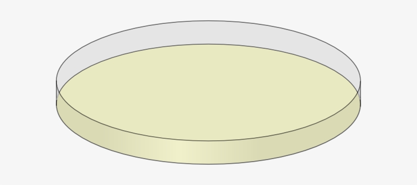 Download Vector Bacteria Petri Dish Picture Royalty Free Library ...